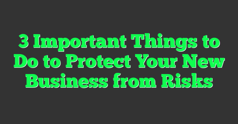 3 Important Things to Do to Protect Your New Business from Risks ...