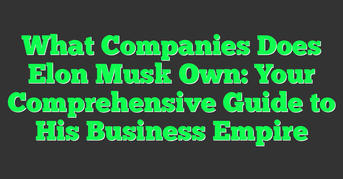 What Companies Does Elon Musk Own: Your Comprehensive Guide to His ...